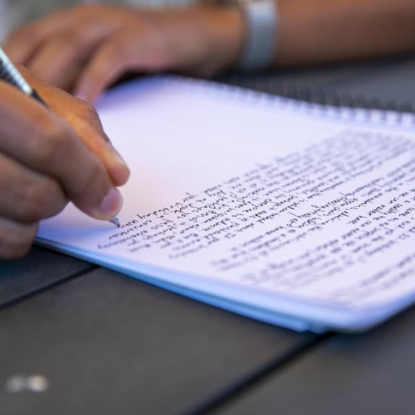 UCSB College of Creative Studies